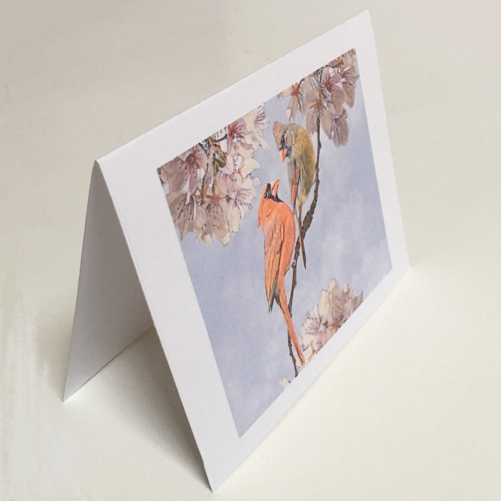 Cardinal Greeting Cards, 4 Pack, Cardinal Gift, Birdwatcher Gift, Thin ...