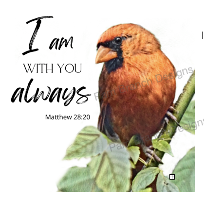 Male Cardinal on a Branch, Bible Verse, Decoupage Sheet, Rice Paper D2 ...